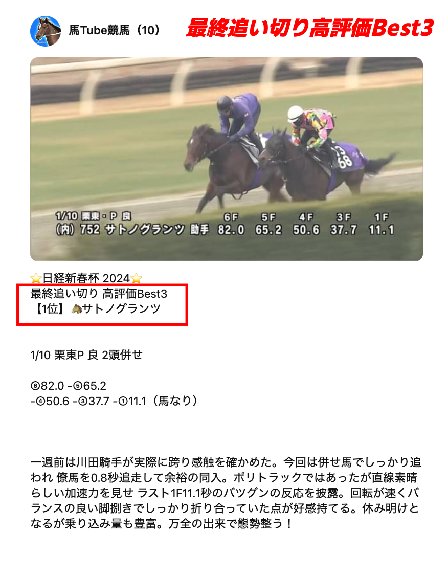 AJCC 2024 最終追い切り【高評価 Best3】 | 馬Tube 競馬予想ブログ