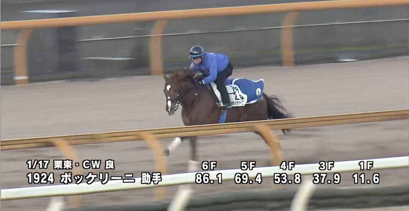 AJCC 2024 最終追い切り【高評価 Best3】 | 馬Tube 競馬予想ブログ