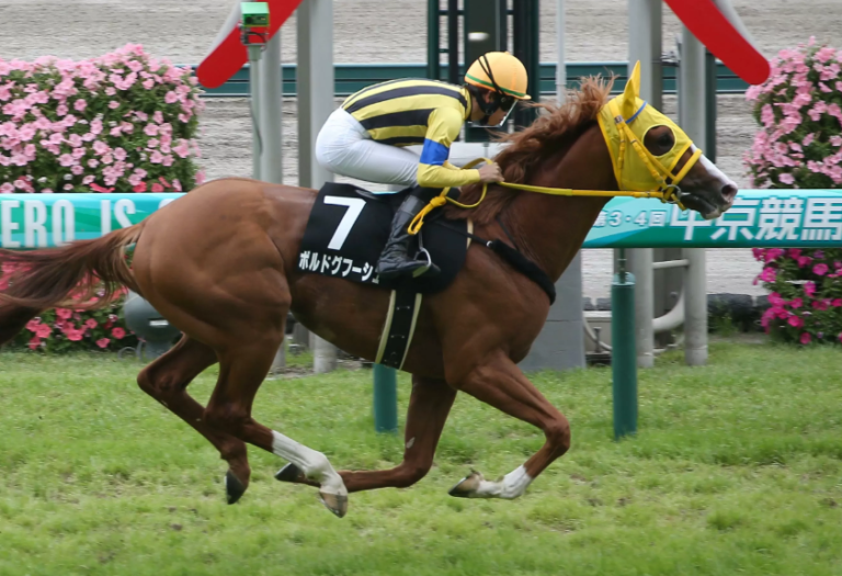 AJCC 2025 最終追い切り【高評価 Best3】 | 馬Tube 競馬予想ブログ