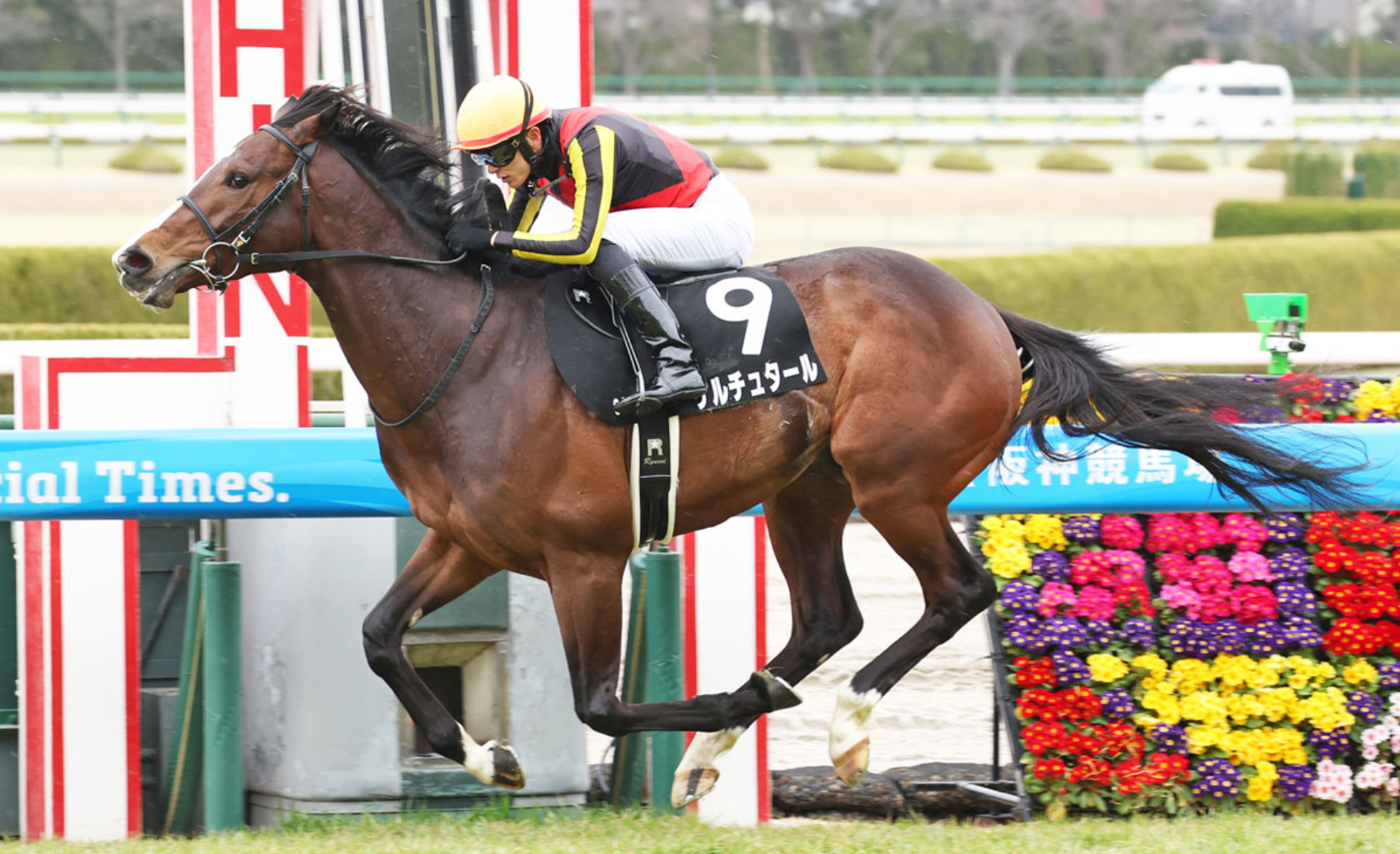 菊花賞 2025 最終追い切り【高評価 Best3】 | 馬Tube 競馬予想ブログ